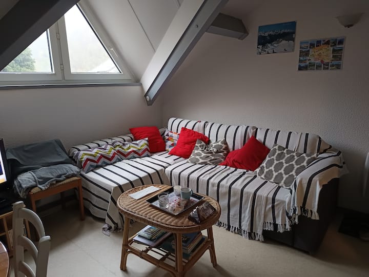 Studio 2-4 Personnes - Aulus-les-Bains
