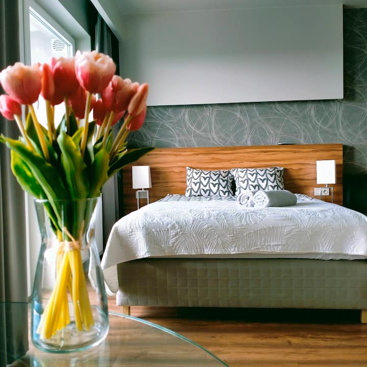 Przytulny Apartament Park ŚLąski - Katowice
