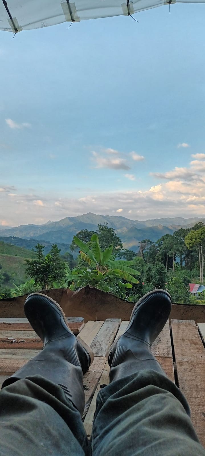 Camping Gallito Torres Sin Carpa - La Vega