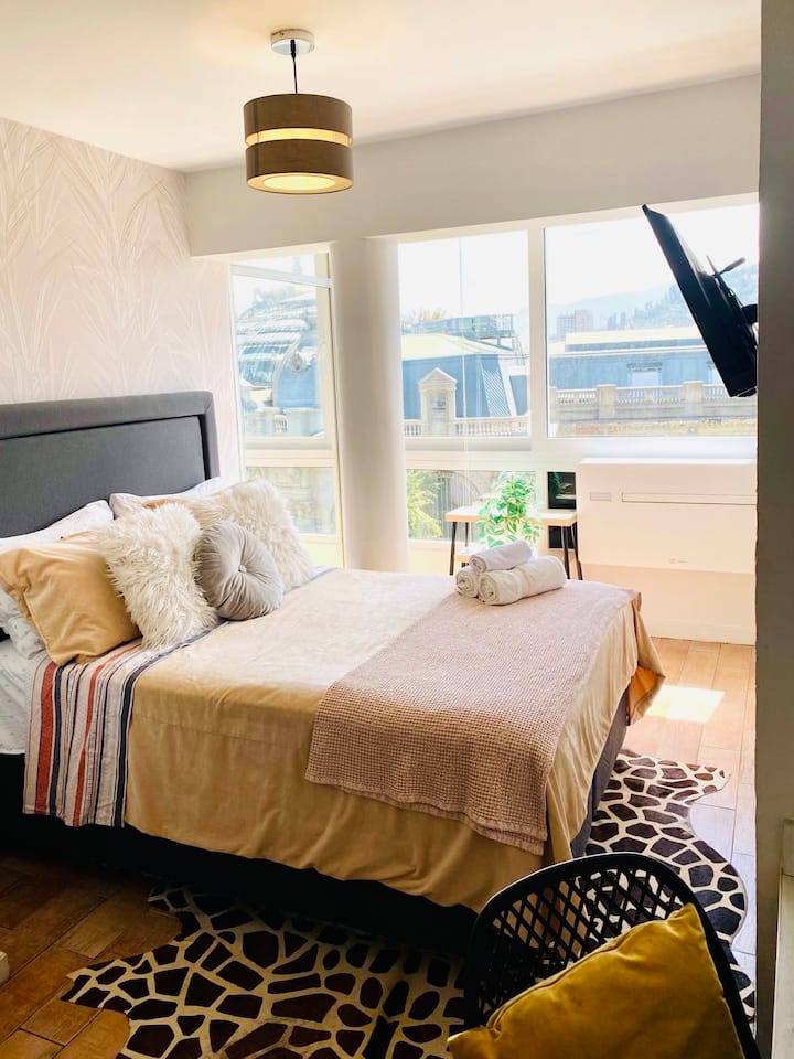 Bellas Artes - Cozy With Aircon And Amazing View. - Chile