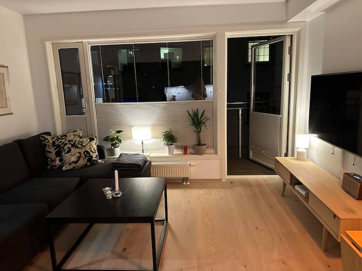 Sentralt Ved Bjørvika Oslo Sentrum, Ledig Fra Mars - Oslo