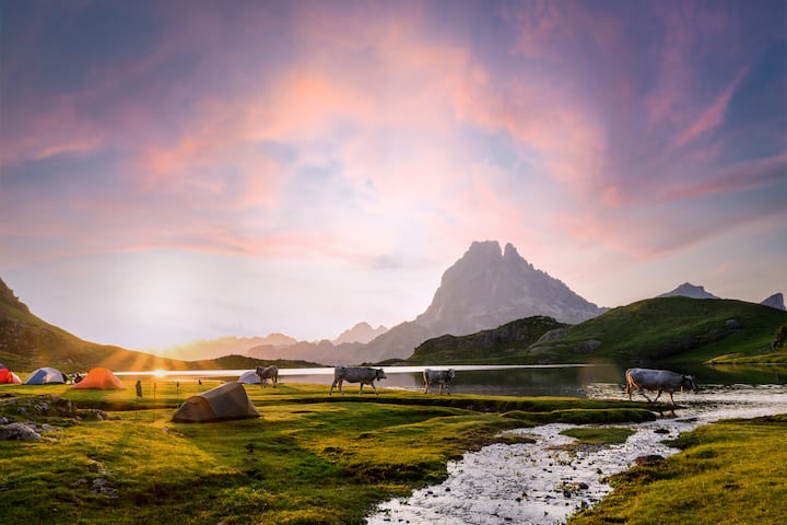 Pyrénées T2 Plain-pied, Piscine Et Jardin Privatif - Pirineos