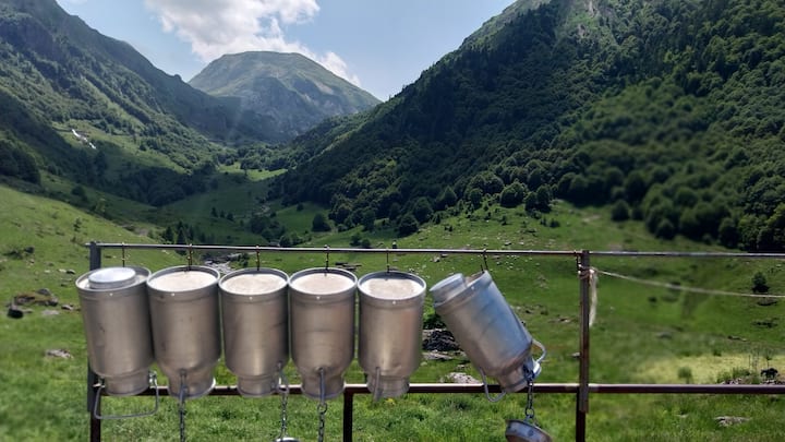 Pyrénées T2 Plain-pied, Piscine Et Jardin Privatif - Lac de Castet