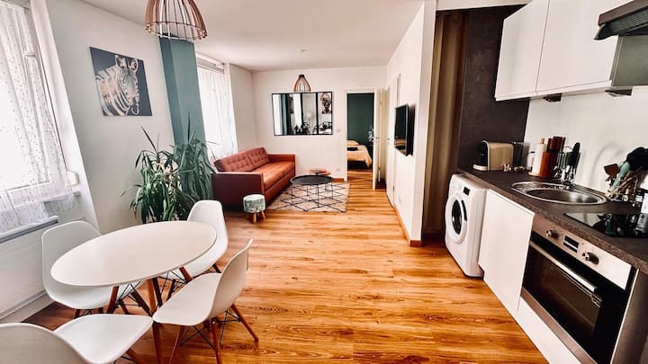 Appartement Cosy Au Centre-ville - Haguenau