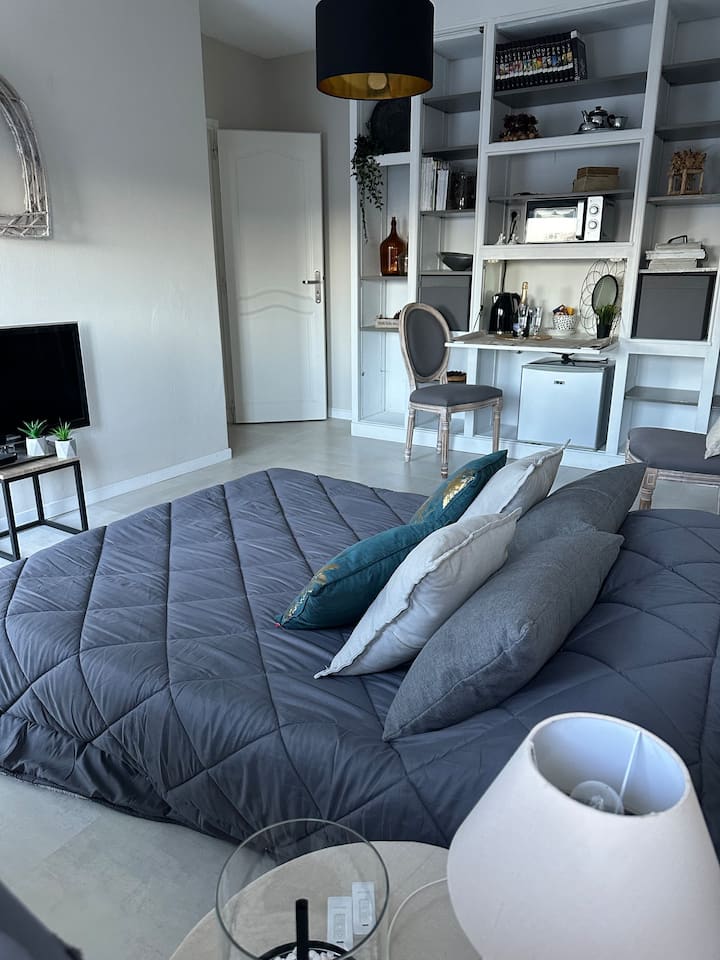 Chambre Terrasse, Sdb, Wc. Indép - Tarbes