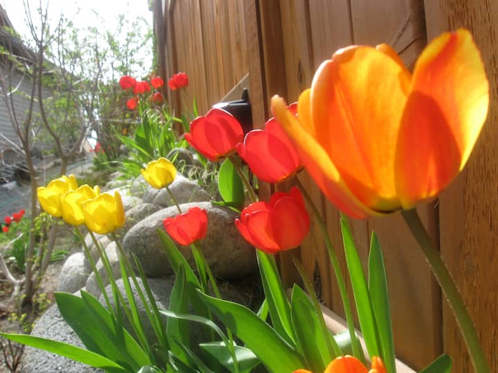 Okanagan Retreat-
Private 2br Suite - West Kelowna