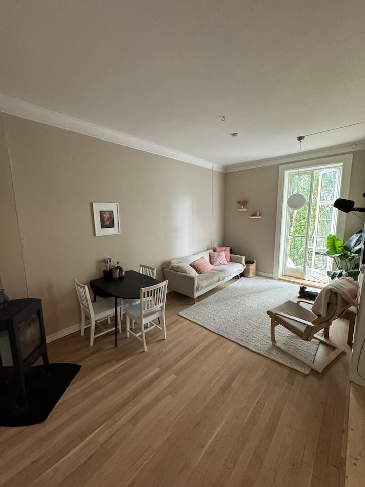 Room In Central Apartment. - Oslo