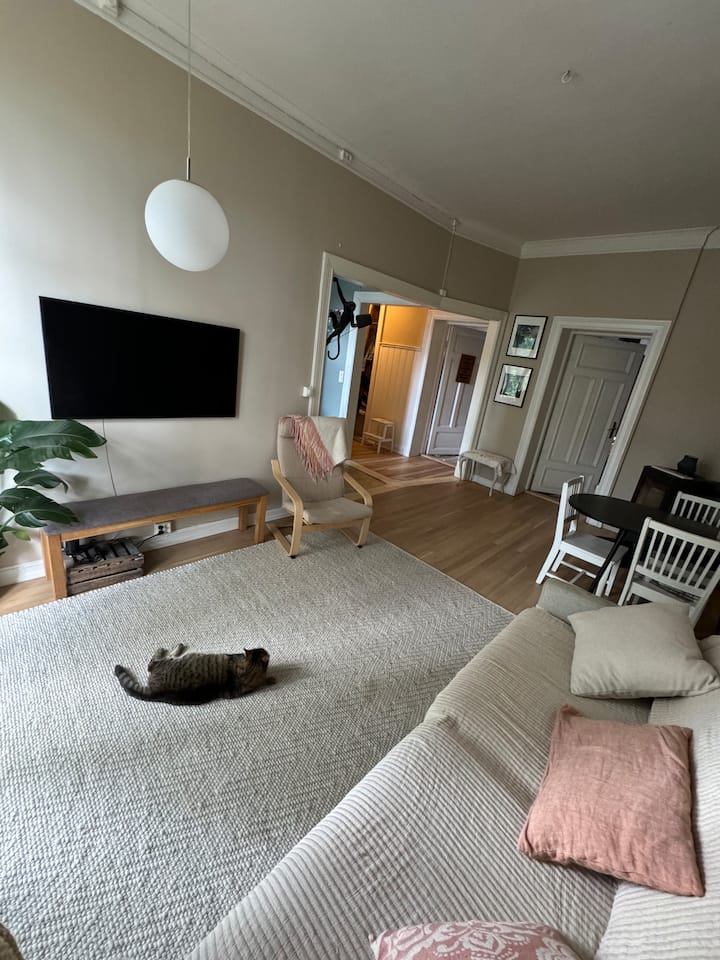 Central Apartment With Cat! - Oslo