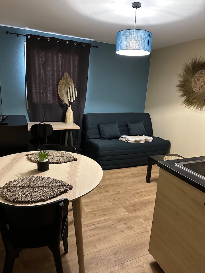 Superbe Studio Parking - Avignon