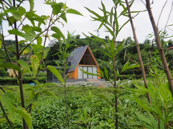 Dere Bungalov Suit 2+1 - Rize