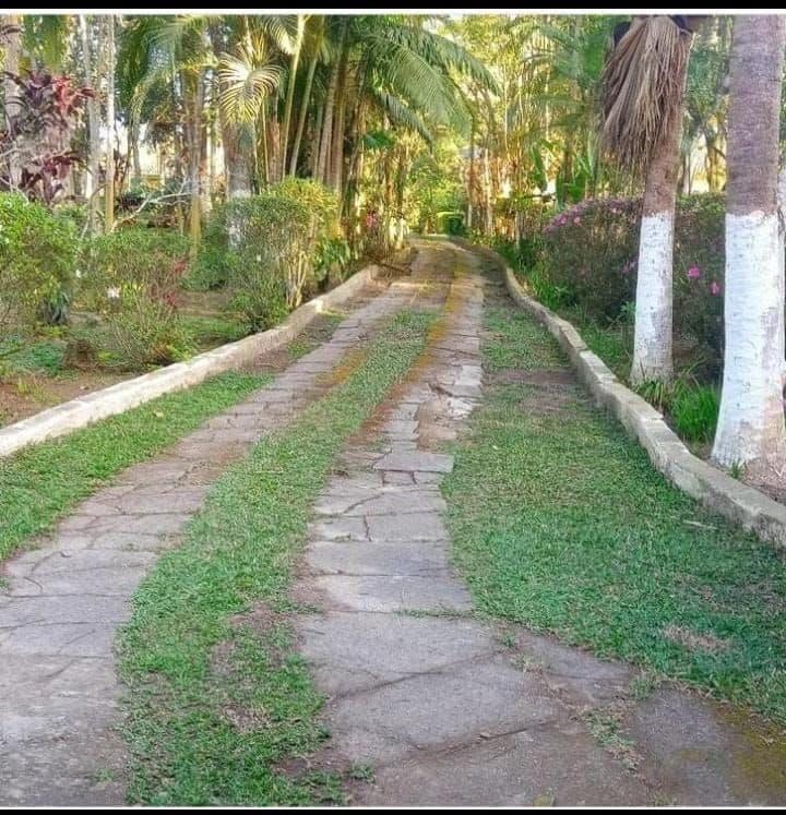 Sítio Meus Querubins - Mogi das Cruzes