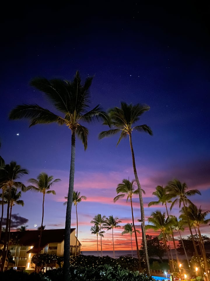 Tropical Newly Upgraded With Courtyardviews - Maui