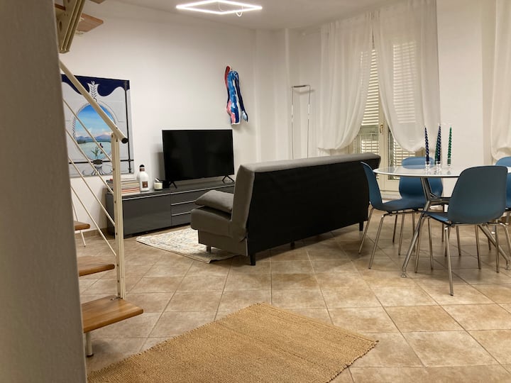 Barchette 5 - Livorno