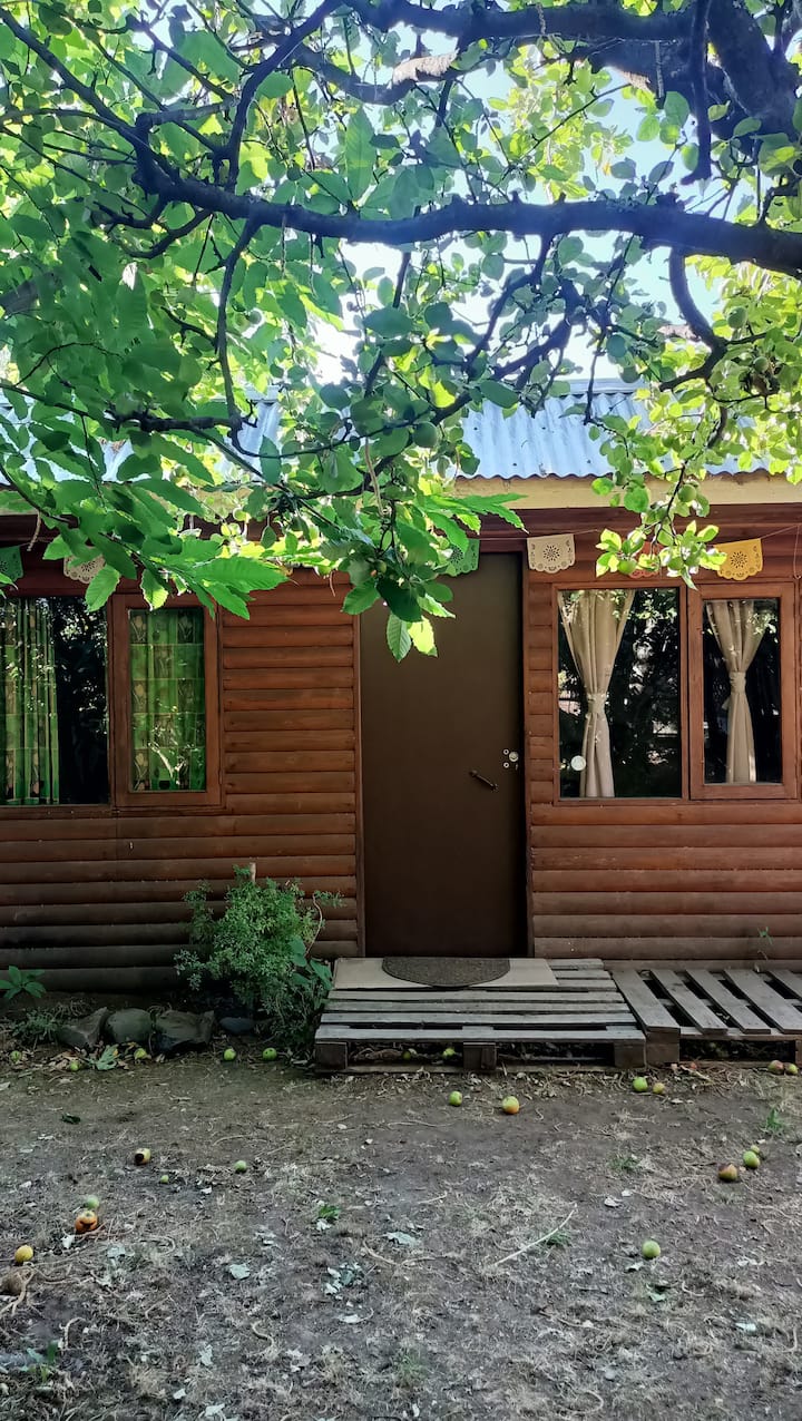 Mini Cabaña - Pucón