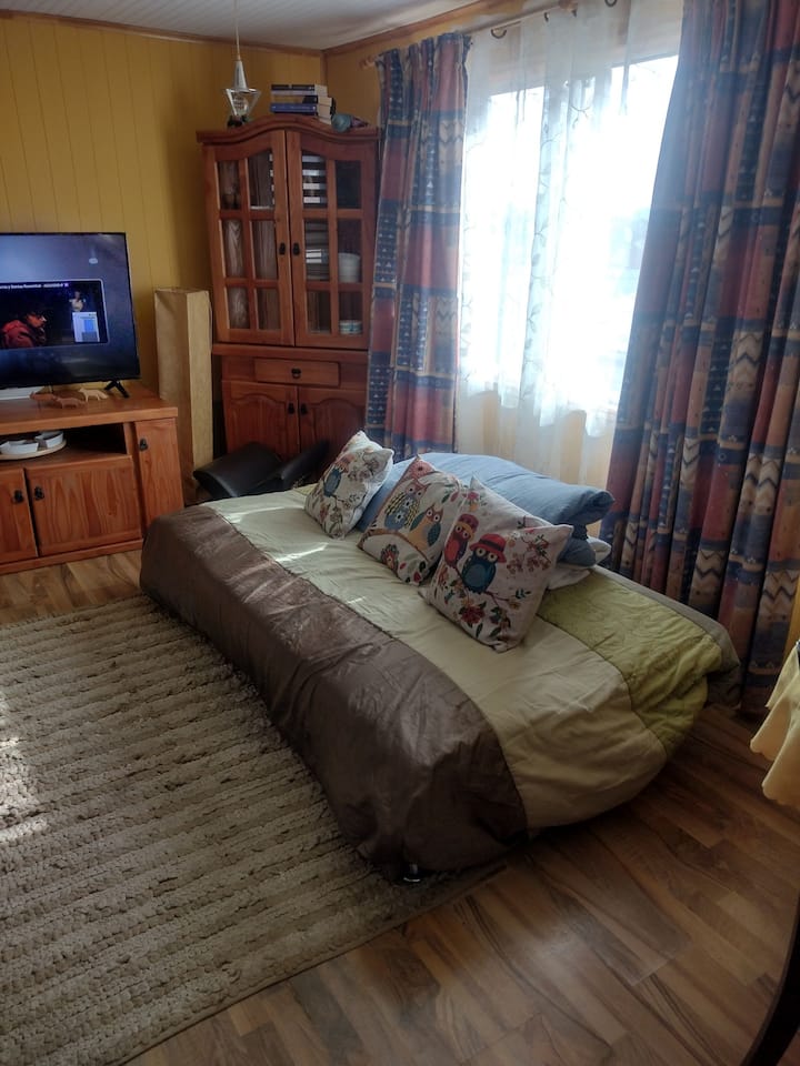 Departamento Pequeño Y Acogedor - Valdivia