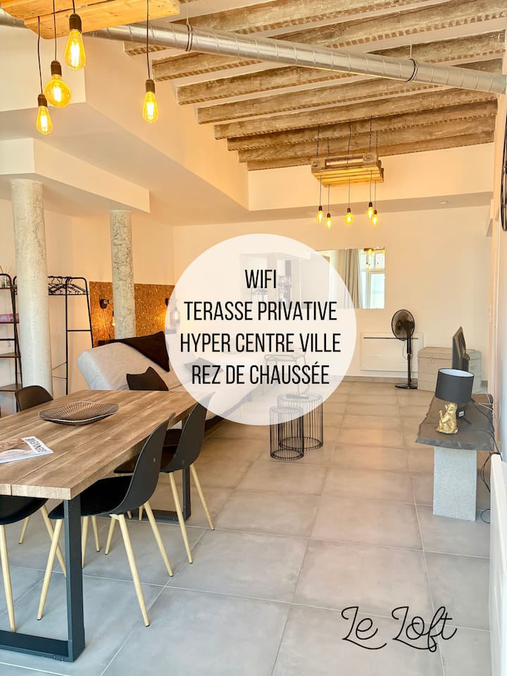 Loft Avec Terrasse Au Pied Du Château - Amboise