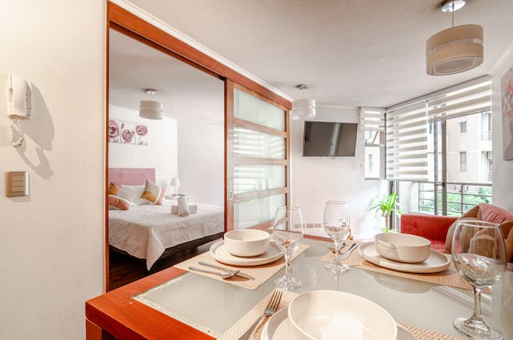 Bellas Artes Remodelado + Piscina - Santiago