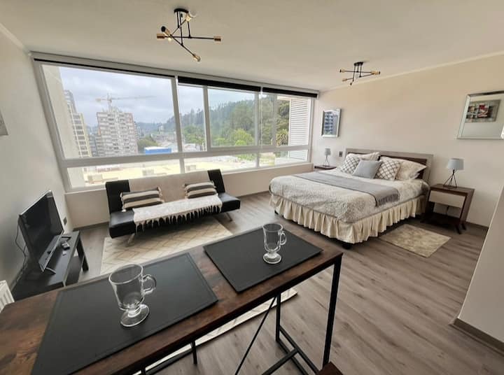 Home Estudio Concepción Con Estacionamiento. - Concepción