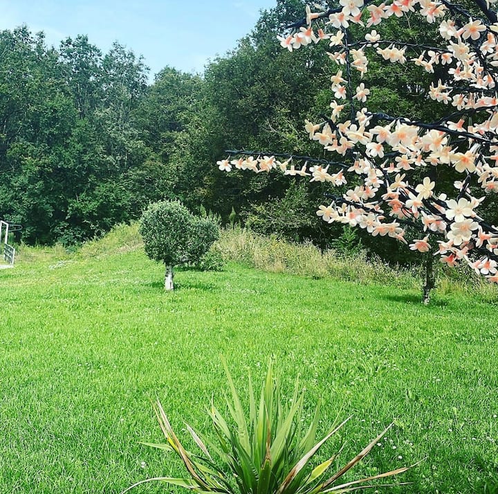 Tente De Réception - Dourdan