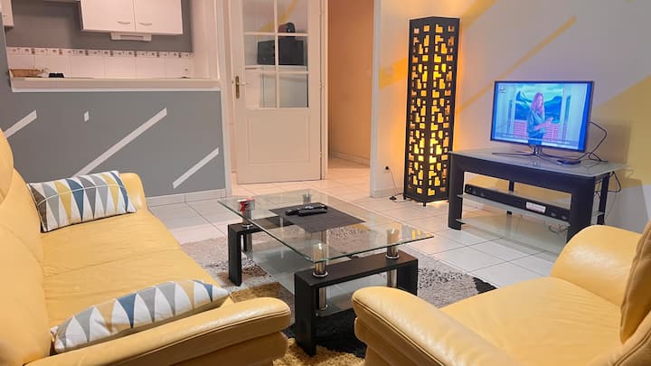 Bel Appart Très Ensoleillé Complète 75m²+24m²téras - Orléans