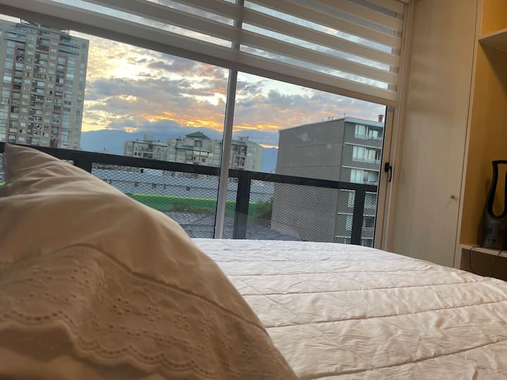 Moderno Y Acogedor Homestudio Con A/c Stgo Centro - Santiago