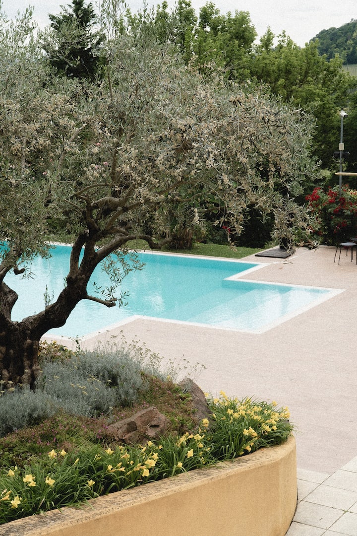 Fusin - Cascina San Marco Wine Resort - Rive