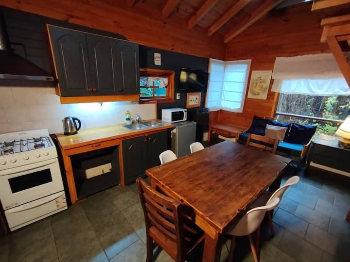 Cabaña 4/6
 Con Jardín Cercado - Villa La Angostura