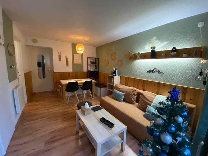 Pegase Phénix Appartement 6/7 Pers Le Corbier - Le Corbier