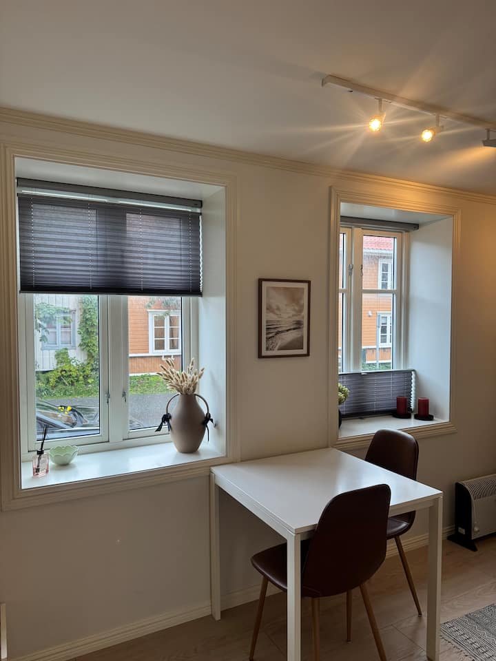 Nydelig 2-roms Med Felles Terrasse I Sentrum. - Tromsø