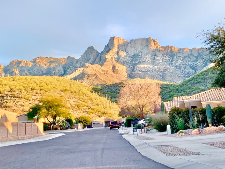 Amazing Mountain View’s! - Oro Valley, AZ