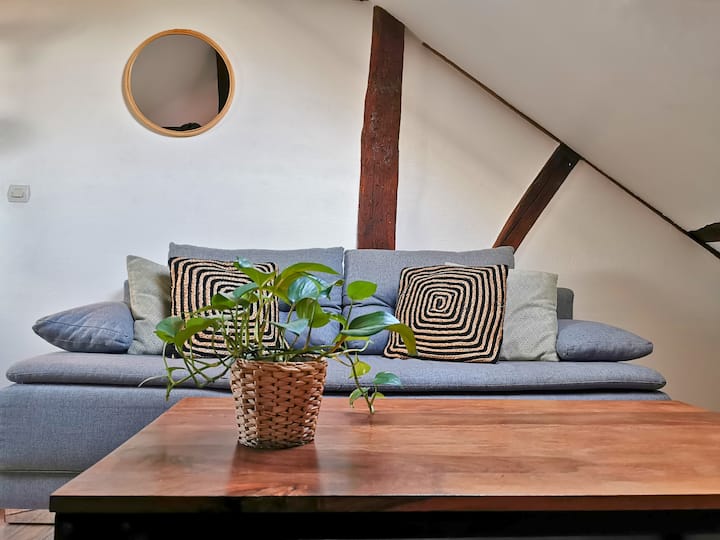 • L'atypique • Wifi/tv/tram - Tours