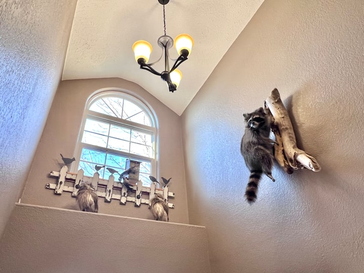 This Must Be The Place - Ozark, MO