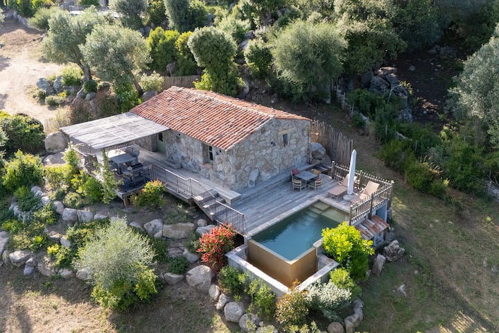 Caseddu Sant'antonu - Figari