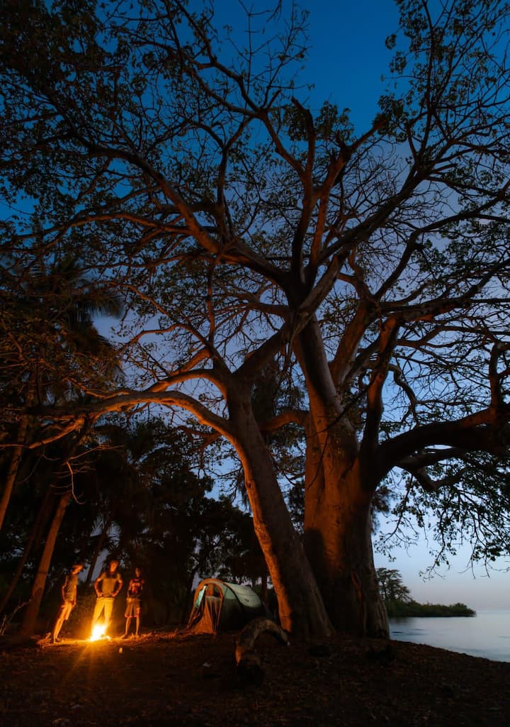 Kankelling Beach Camp - The Gambia