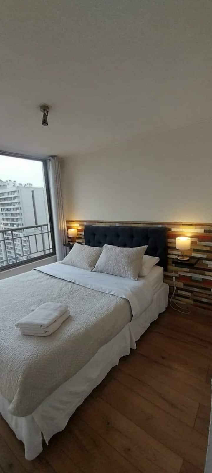 Casco Historico, Wifi,  Metro, Palacio La Moneda - Santiago