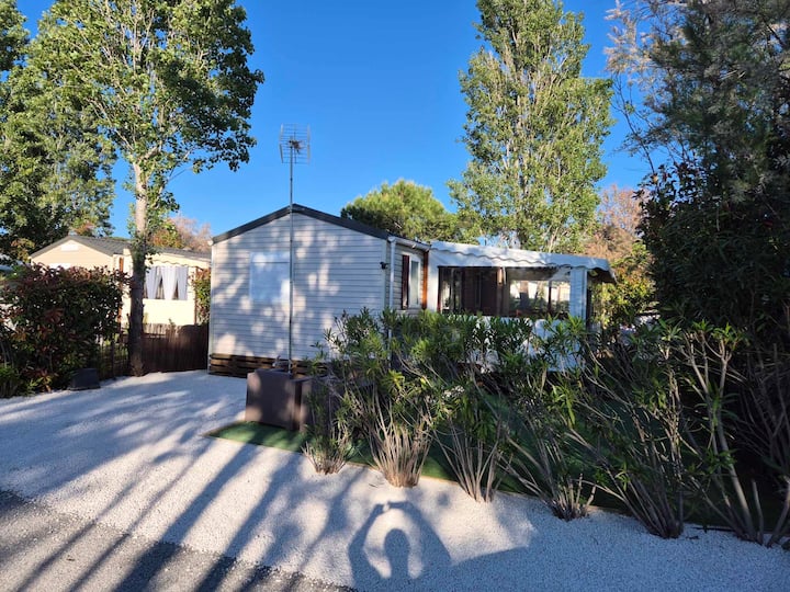 Bungalow Dans Un Camping 4*, 6 Personnes, - Hyères