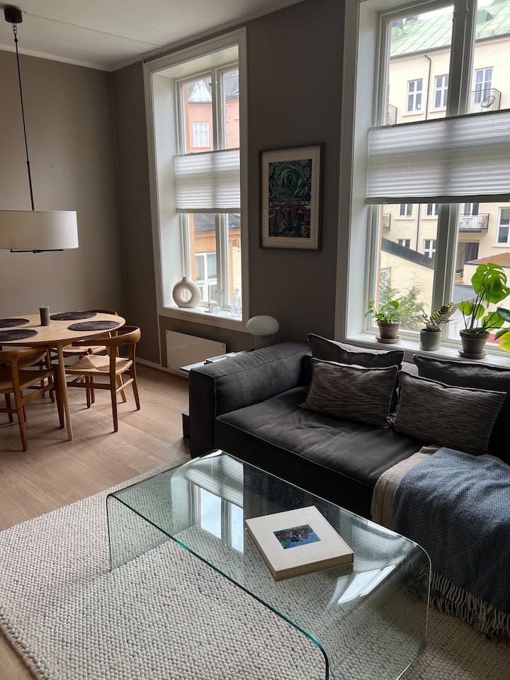 Sentral Og Innbydende Leilighet I Hjertet Av Oslo - Oslo