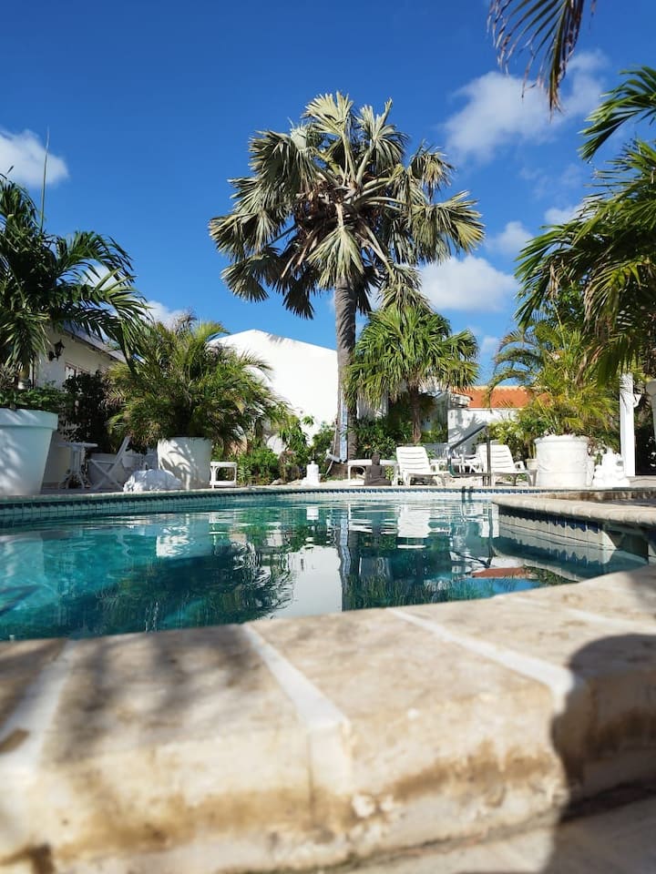 Gezellige Groeps Accommodatie - Aruba