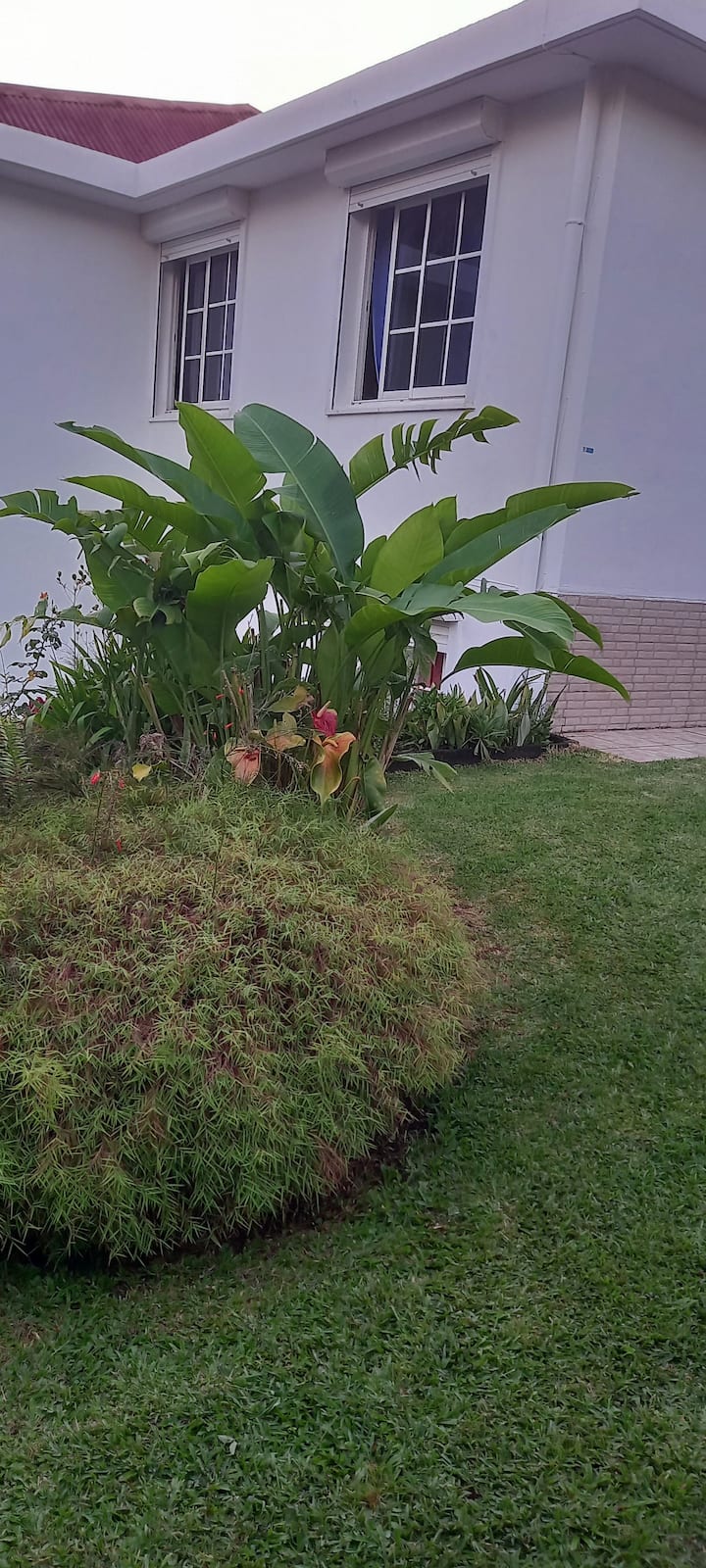 Spacieux Bas De Villa Entre Mer, Rivière, Montagne - Guadeloupe