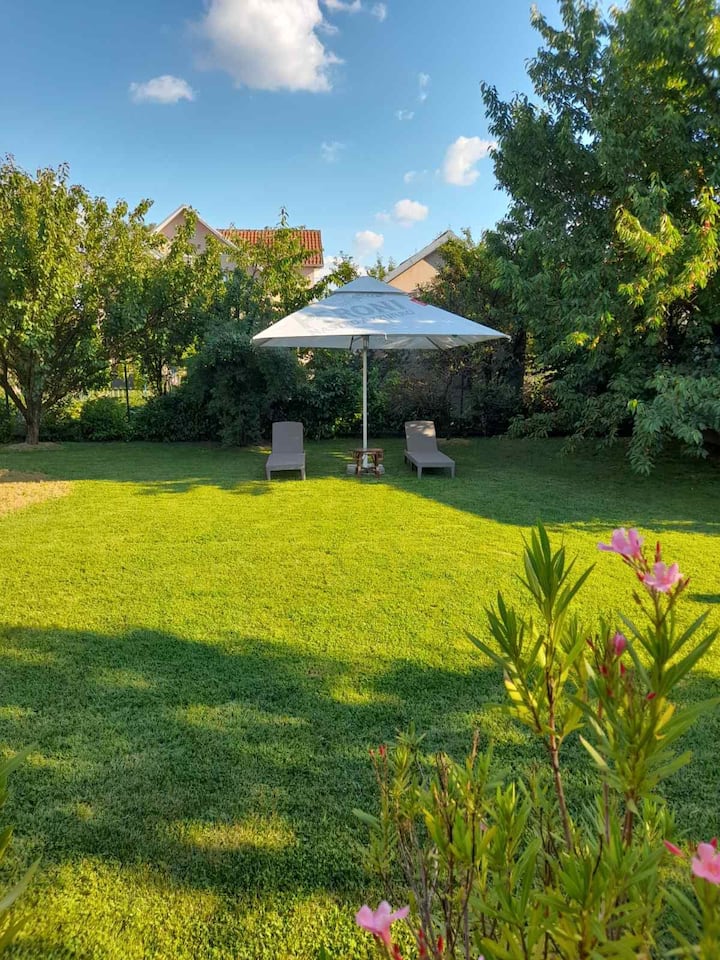 Aeroclub Surcin - Belgrade