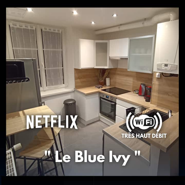 Le Blue Ivy 2 Chambres Hyper Centre Tout éQuipé - Le Creusot