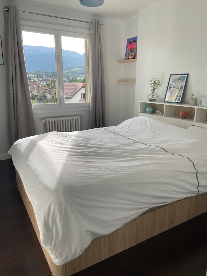 Chambre Dans Un Appartement Proche Du Lac - Seynod