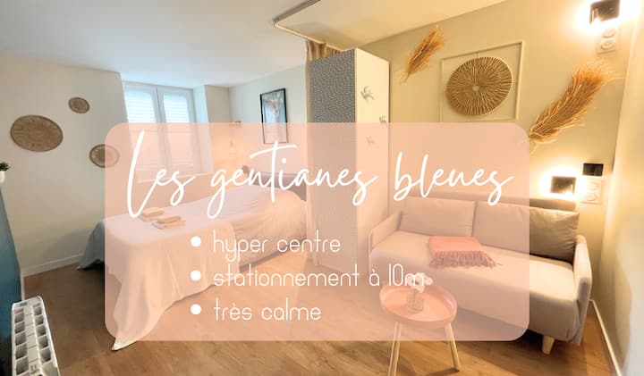 Les Gentianes Bleues, Idéal Couple Ou Famille - Lons-le-Saunier