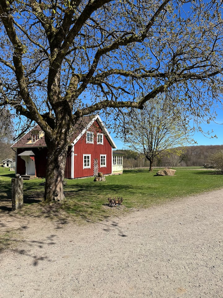 Trehörnahult Lillstugan - Sweden