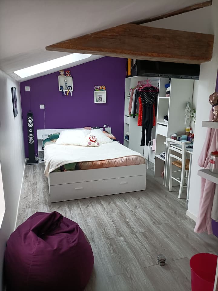 Chambre D'hôtes Pour L'hellfest. - Clisson