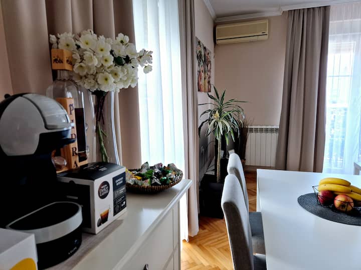 Modern Apartment In Požarevac Centergarage Parking - Požarevac