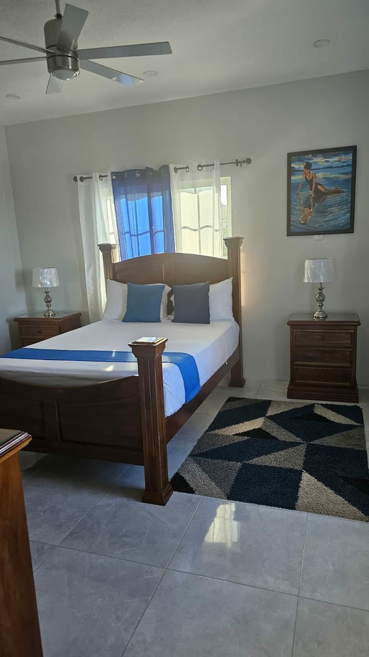 Sophia's Ocean View Apt - Jamaica