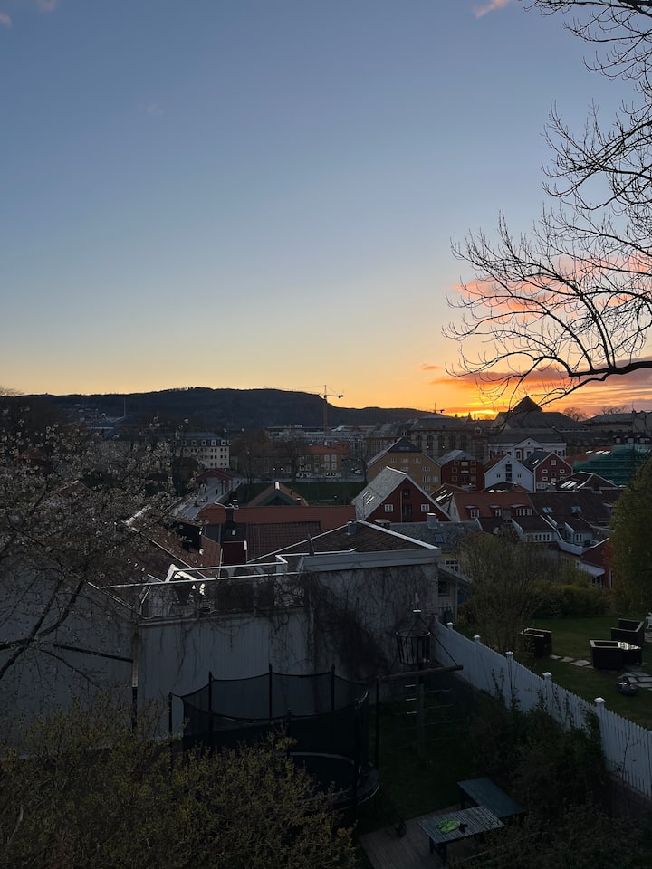 Sjarmerende Leilighet I Sentrum! - Trondheim