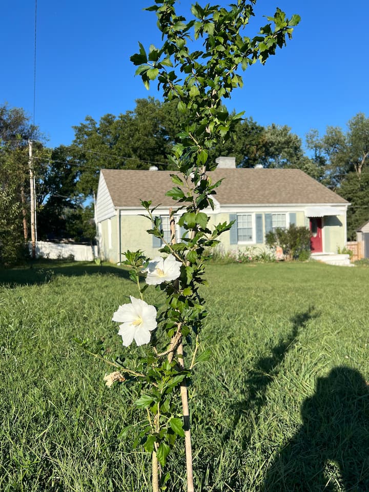 Cozy Cottage In Alcoa - Maryville, TN
