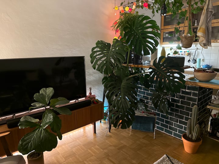 Cozy Surf-apartment Close To Isar And City Center - Munich (Monacor di Baviera)